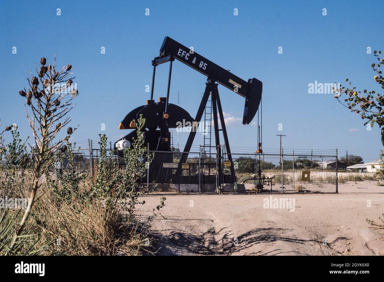 A yucca plant in front of an oil field pumpjack pumping crude oil out ...