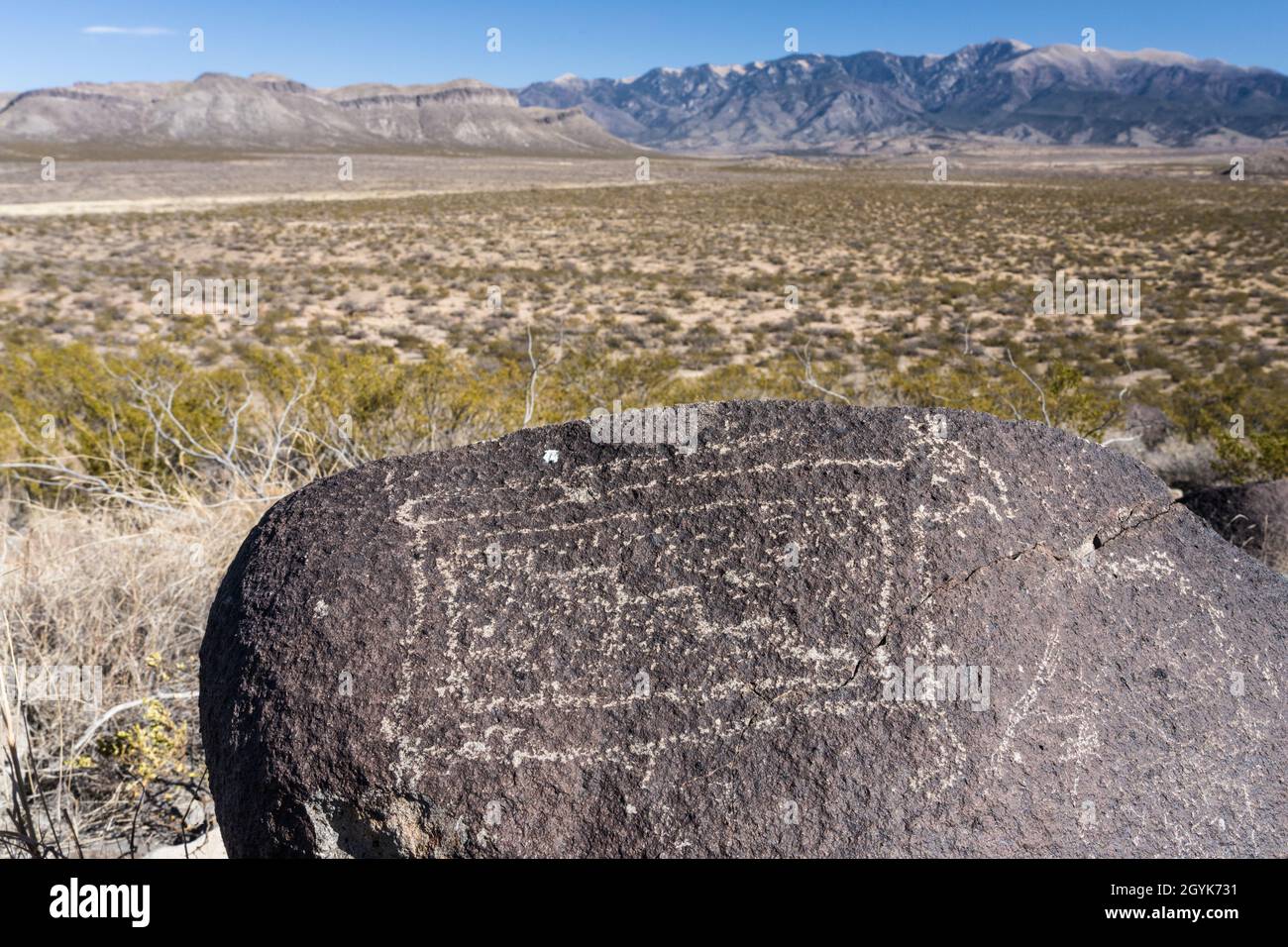 An animal, possibly a dog, carved on a basalt boulder in the Three ...