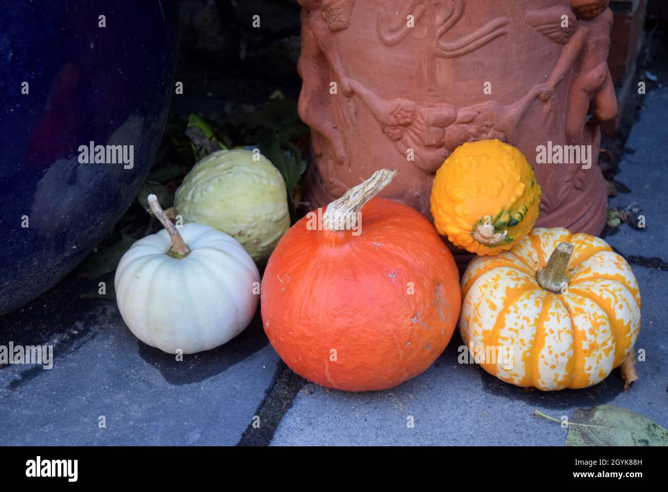 Group various pumpkins hi-res stock photography and images - Alamy