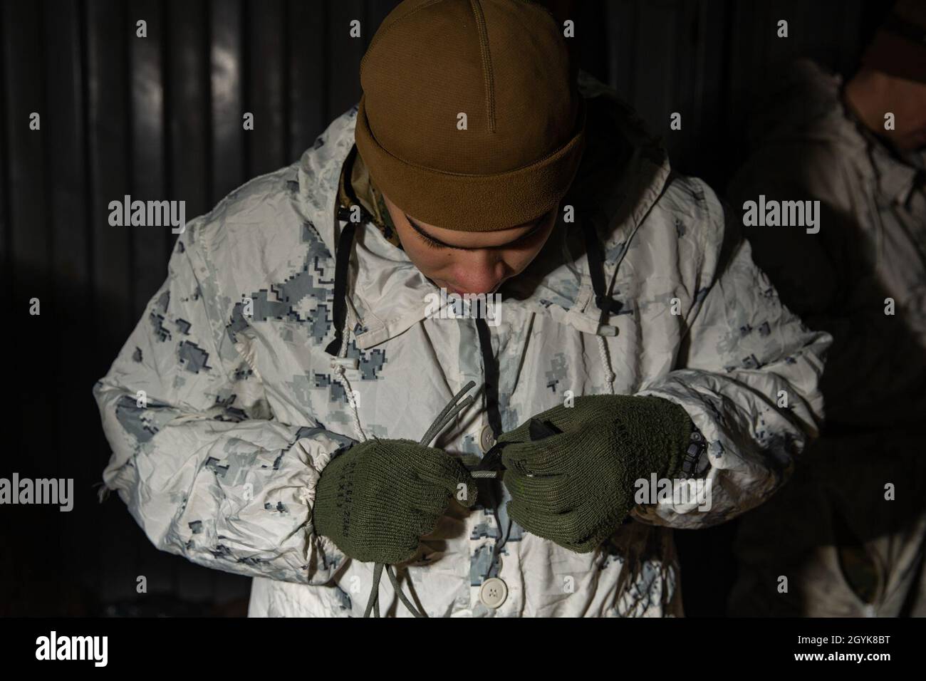 A U.S. Marine with Marine Rotational Force-Europe 20.1, Marine Forces ...