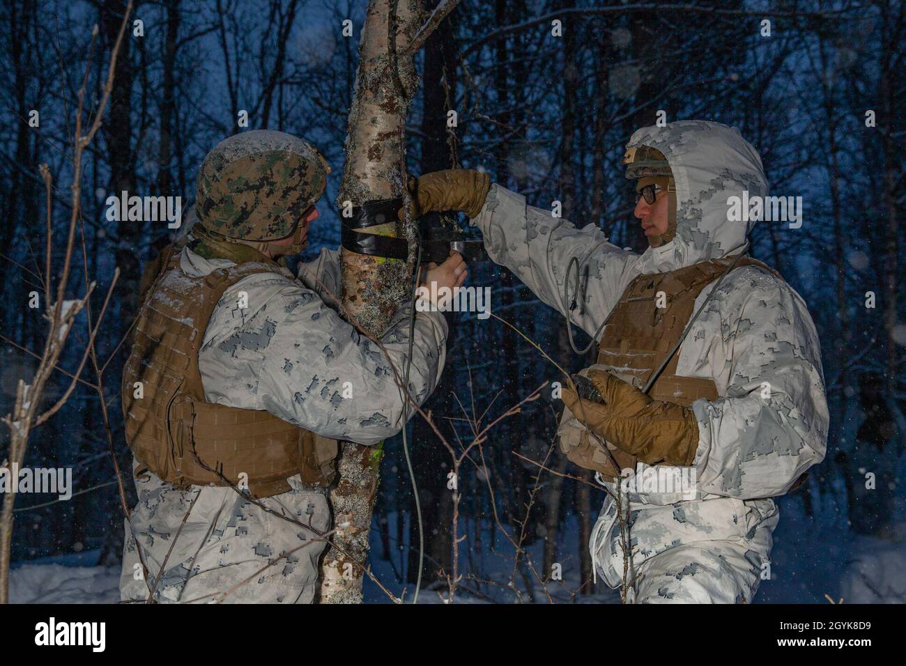 U.S. Marines with Marine Rotational Force-Europe 20.1, Marine Forces ...