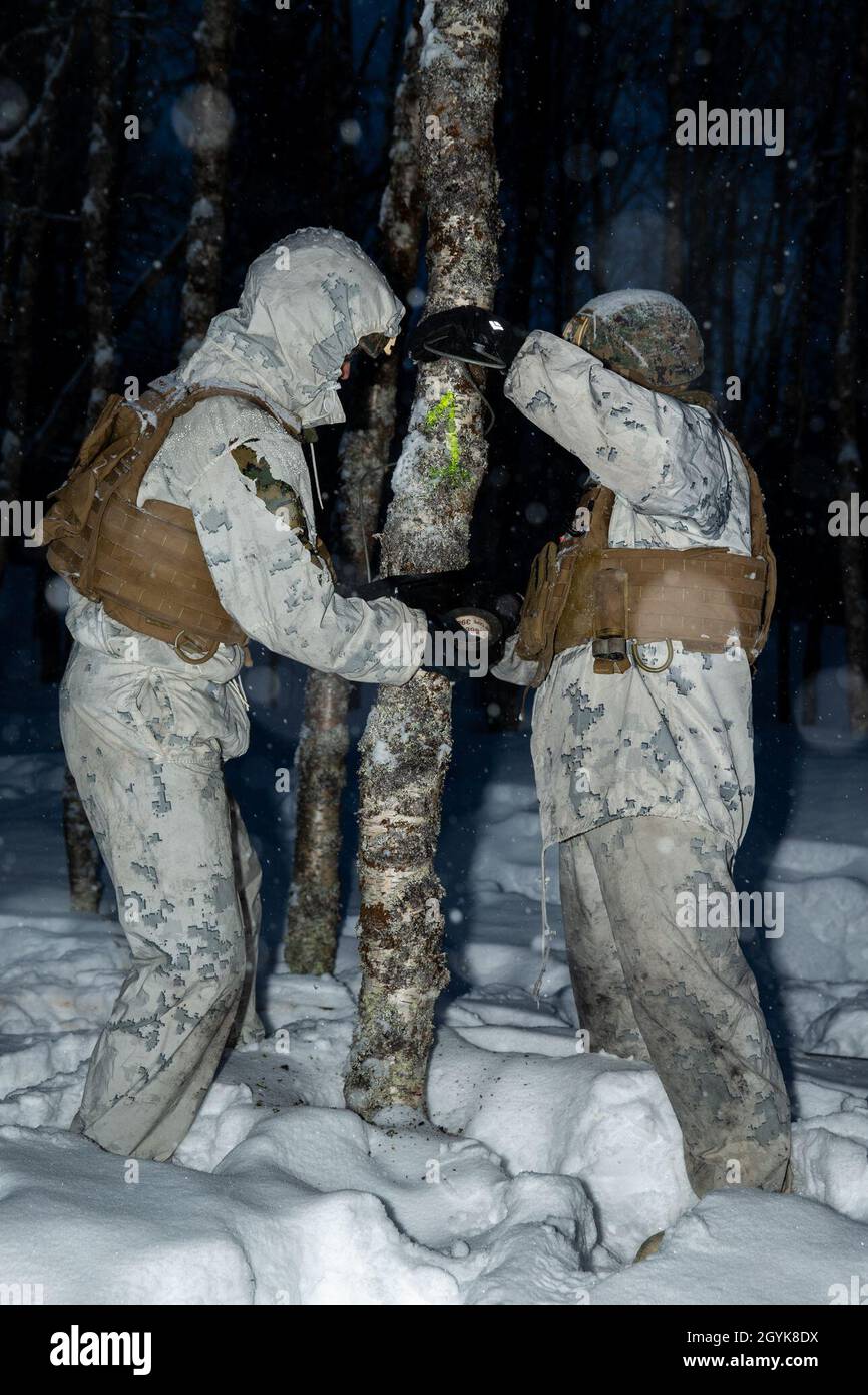 U.S. Marines with Marine Rotational Force-Europe 20.1, Marine Forces ...