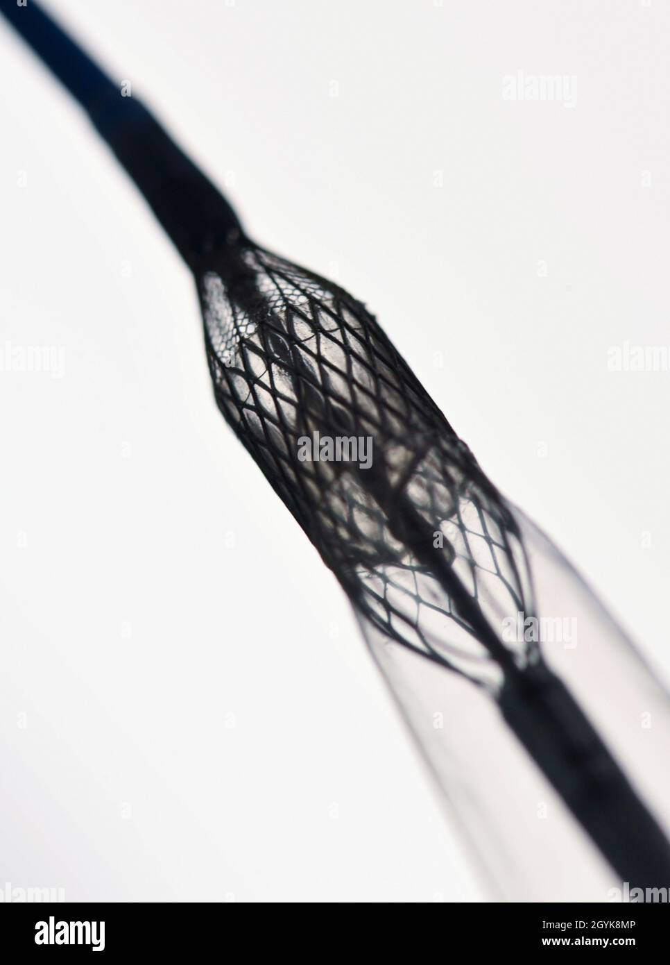 Laboratory condition hi-res stock photography and images - Alamy