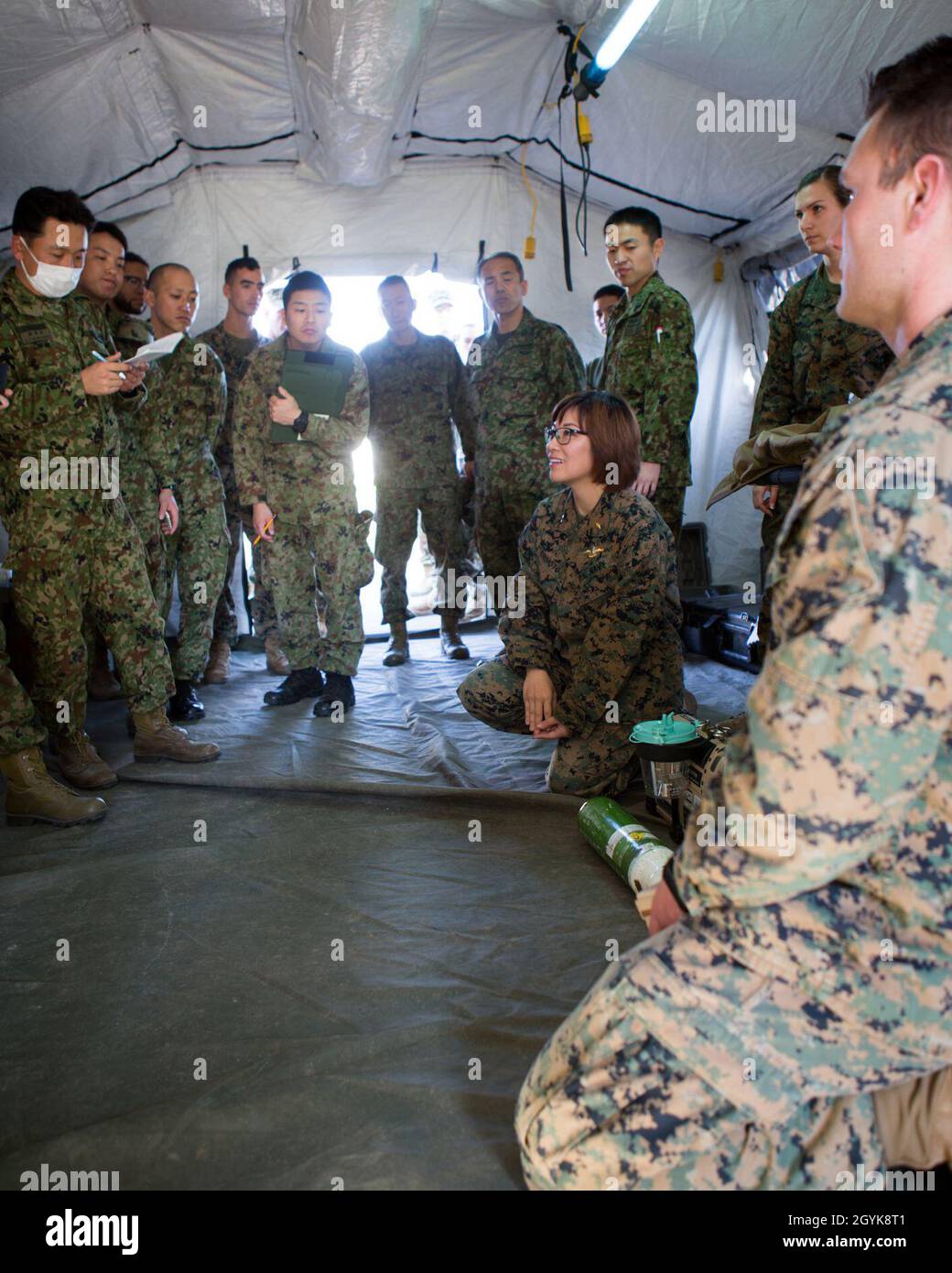 U.S. Navy Lt. Hanayo Arimoto an entomologist with 1st Medical Battalion ...