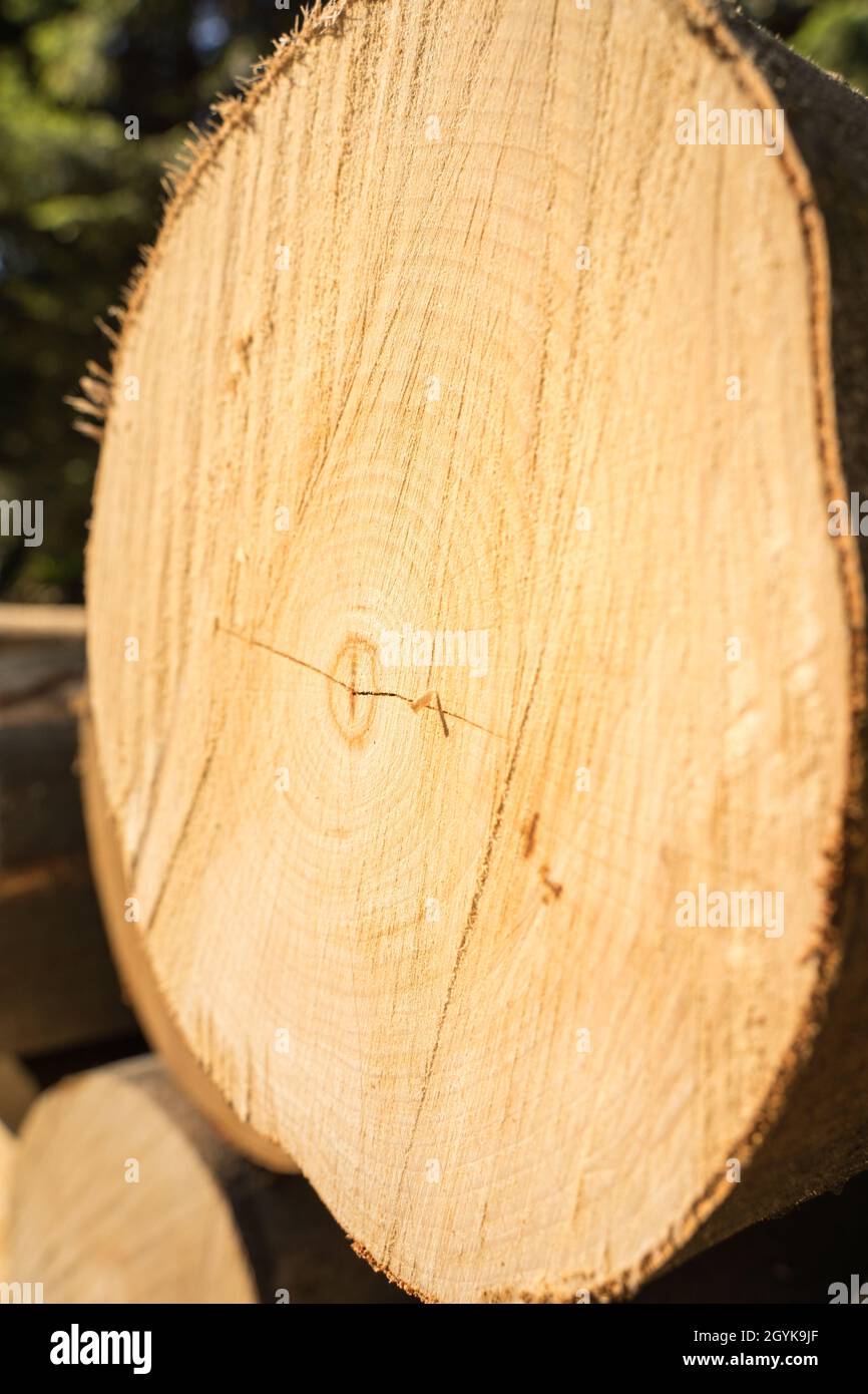 Vertical shot firewood stack hi-res stock photography and images - Alamy