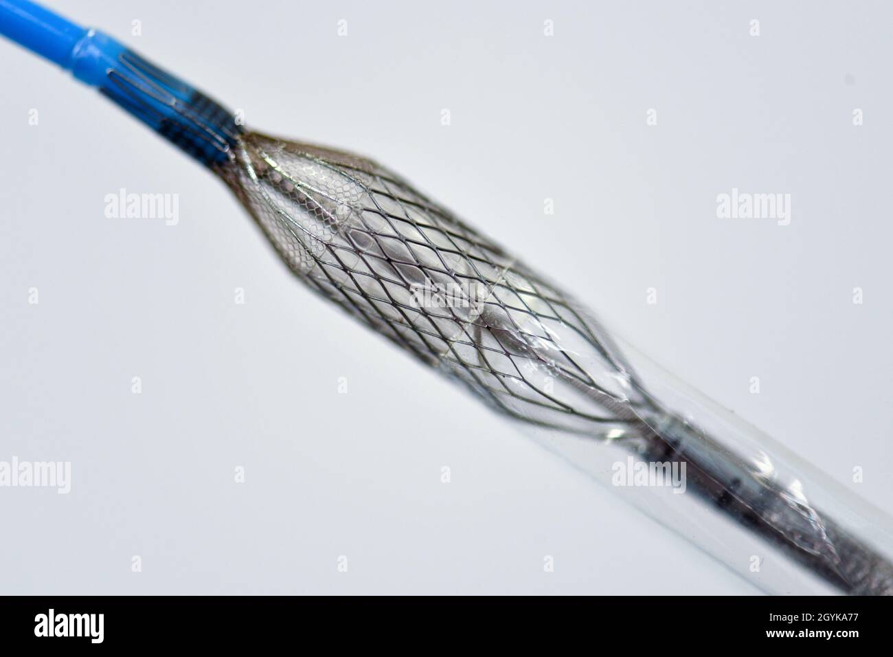 Laboratory condition hi-res stock photography and images - Alamy