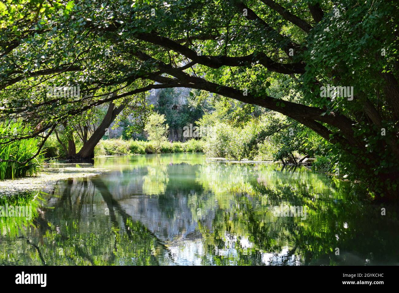 You can see how the trees formed a tunnel under which you can float by ...