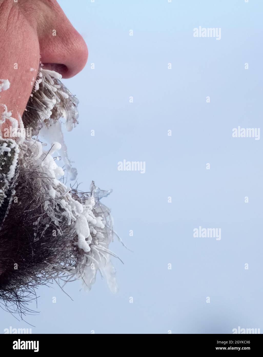Extremely severe frosts cover people with icicles. Cold weather and ...