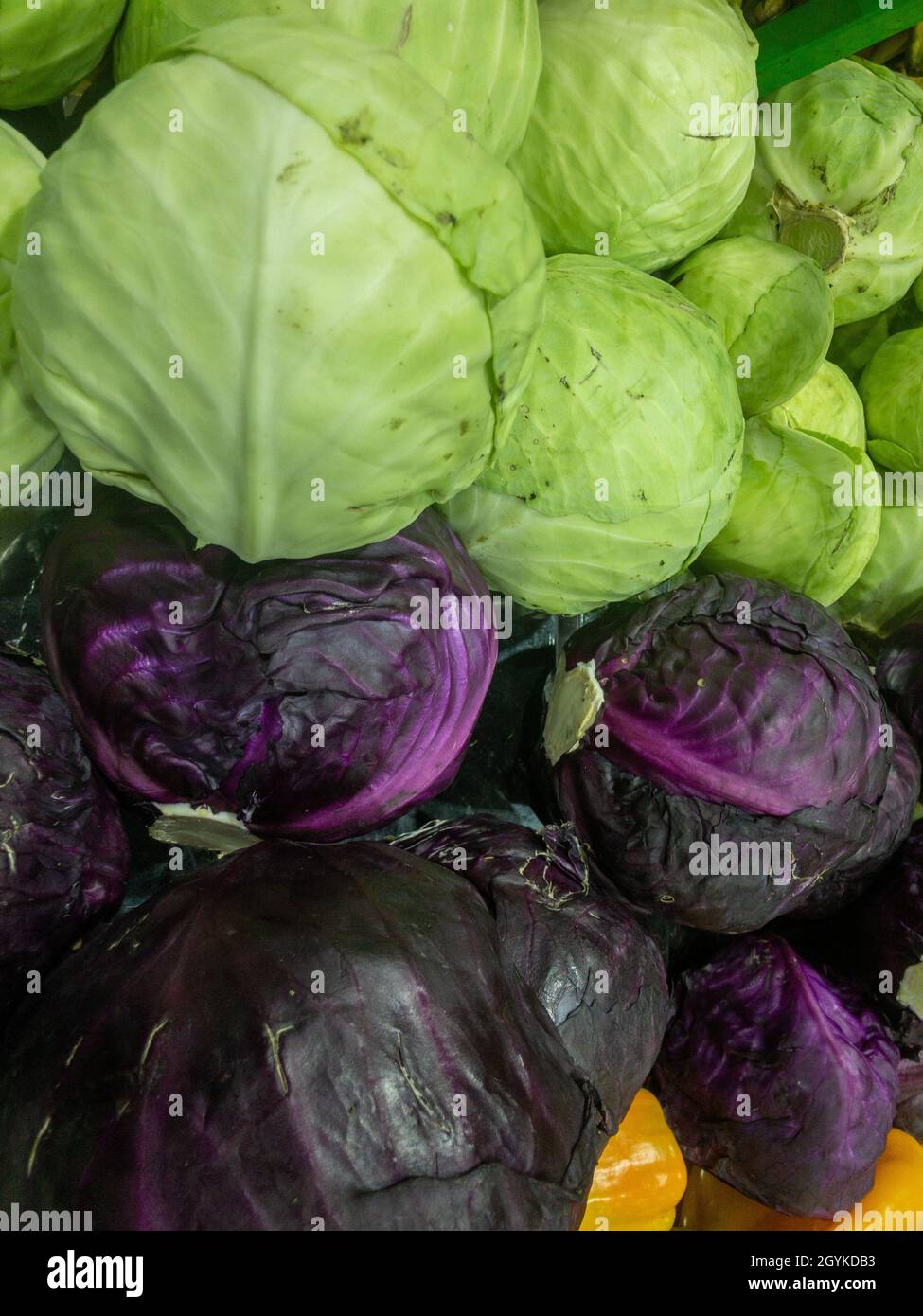Closeup red cabbages hi-res stock photography and images - Alamy