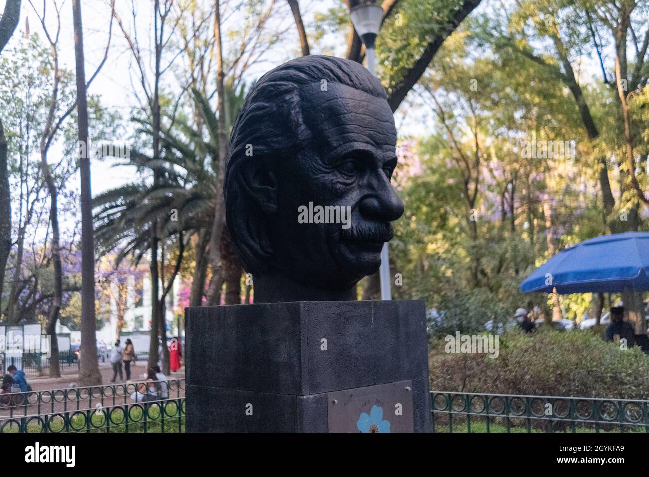 Statue of the head of renowned mathematician in park from Mexico City ...