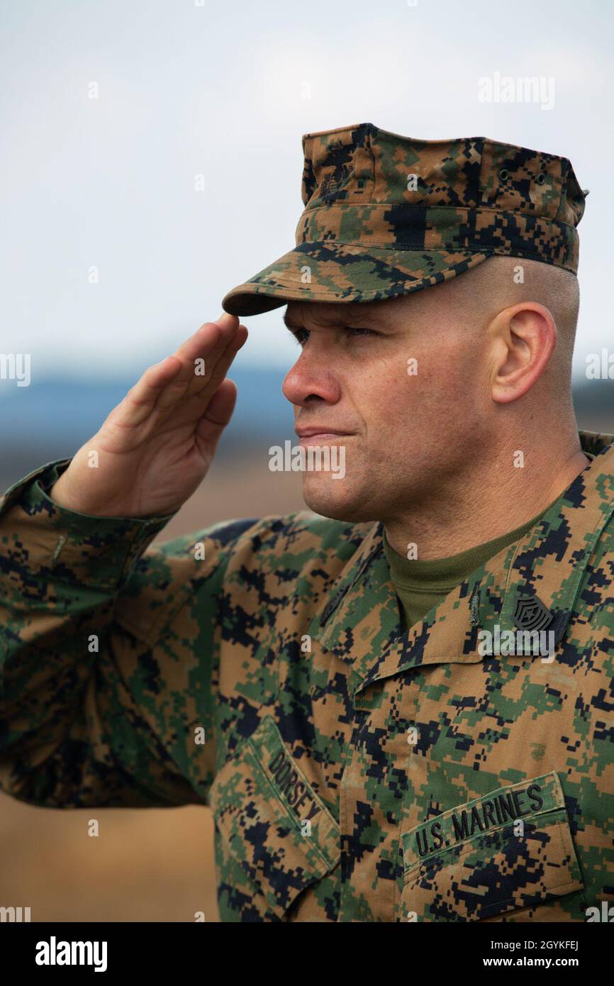 Sgt. Maj. Matthew A. Dorsey, sergeant major of Battalion Landing Team ...