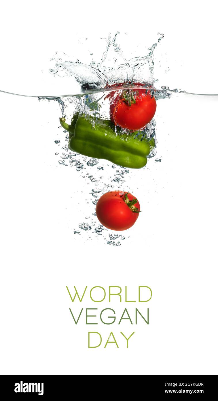 World Hunger Poster Ideas