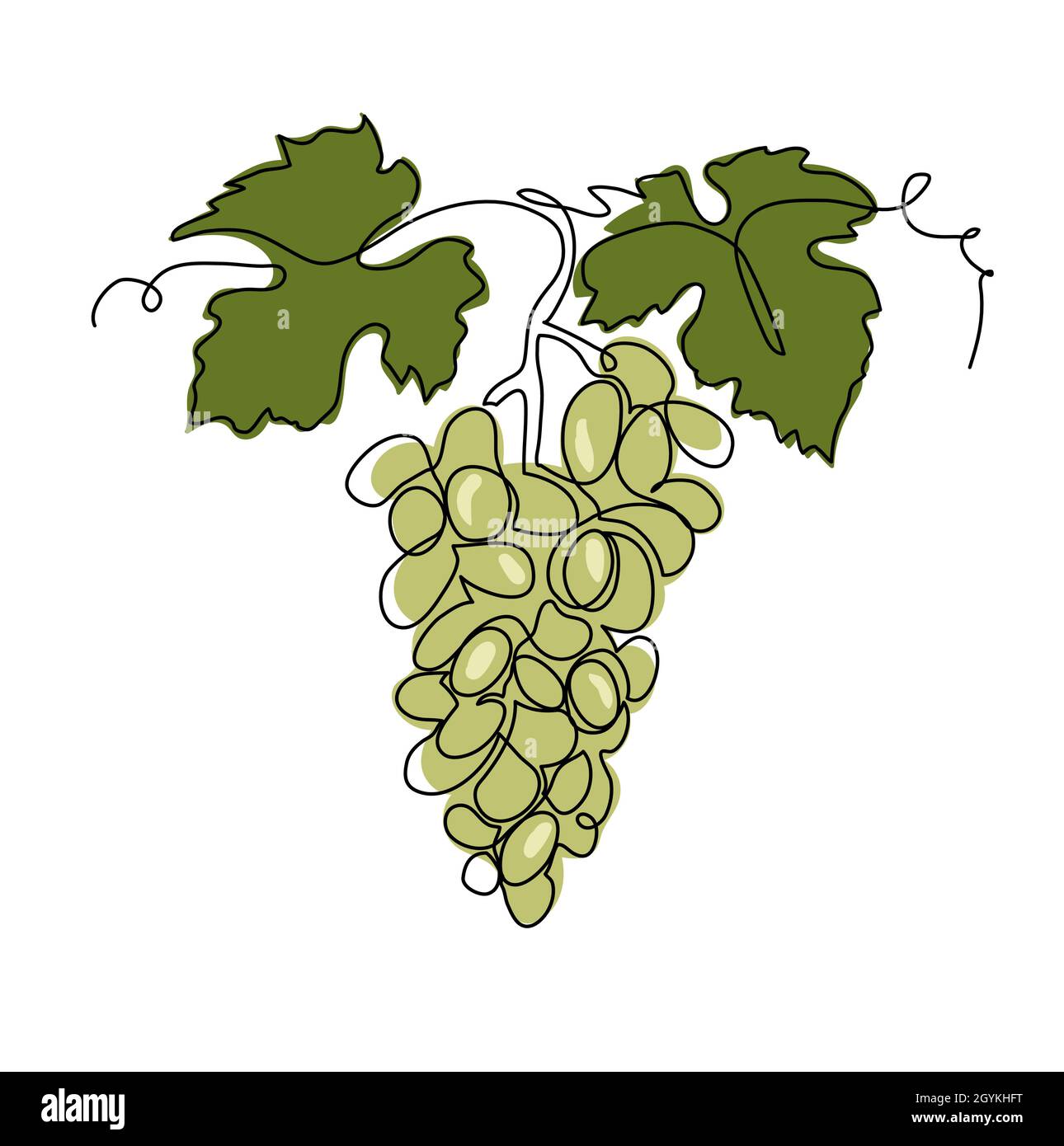 Green grape bunch one single line art drawing. Continuous vector ...