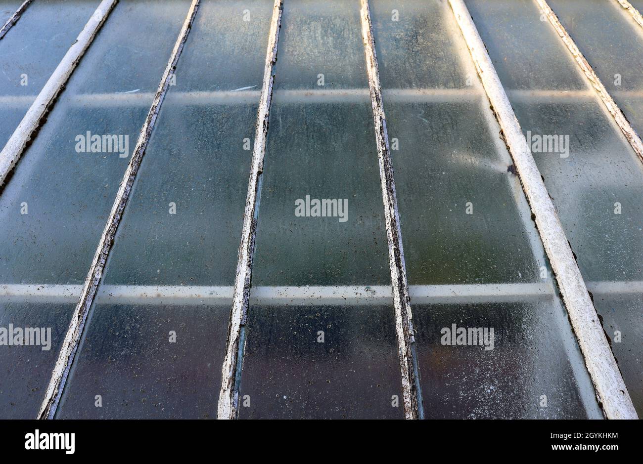Rain Window