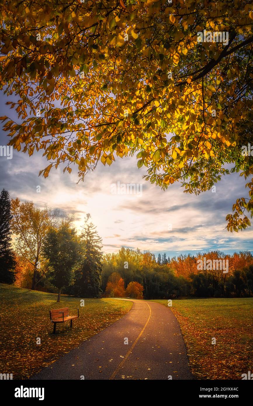Calgary pathway hi-res stock photography and images - Alamy