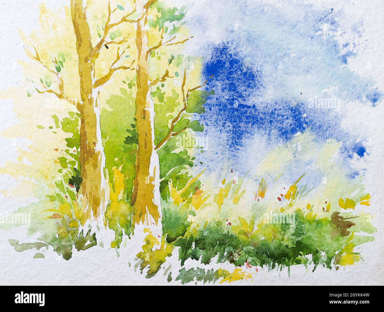 Beautiful watercolour painting of Indian forest with green trees and ...