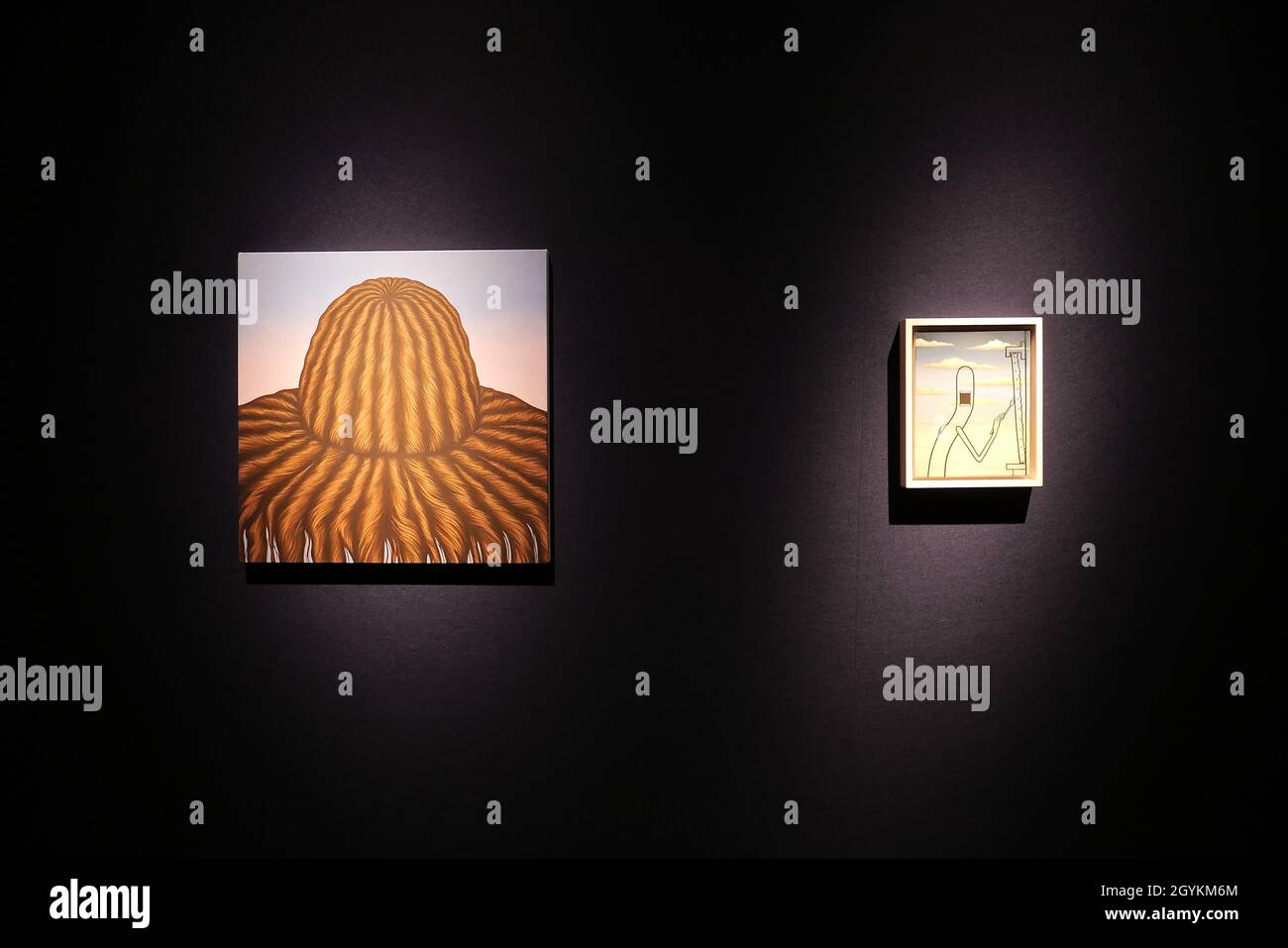 Works by Jean-Michel Basquiat , Peter Doig ,david Hockney , Bridget ...