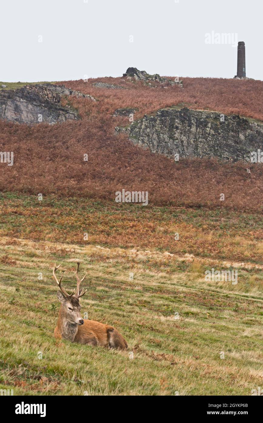 Bradgate park and cropston reservoir site of special scientific hi-res ...