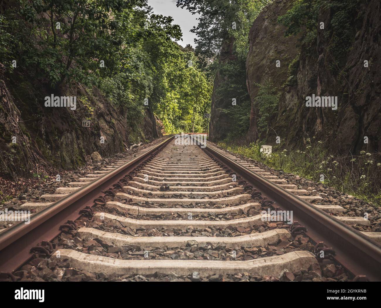 Endless tracks of railroad on a disused track in the middle of the ...
