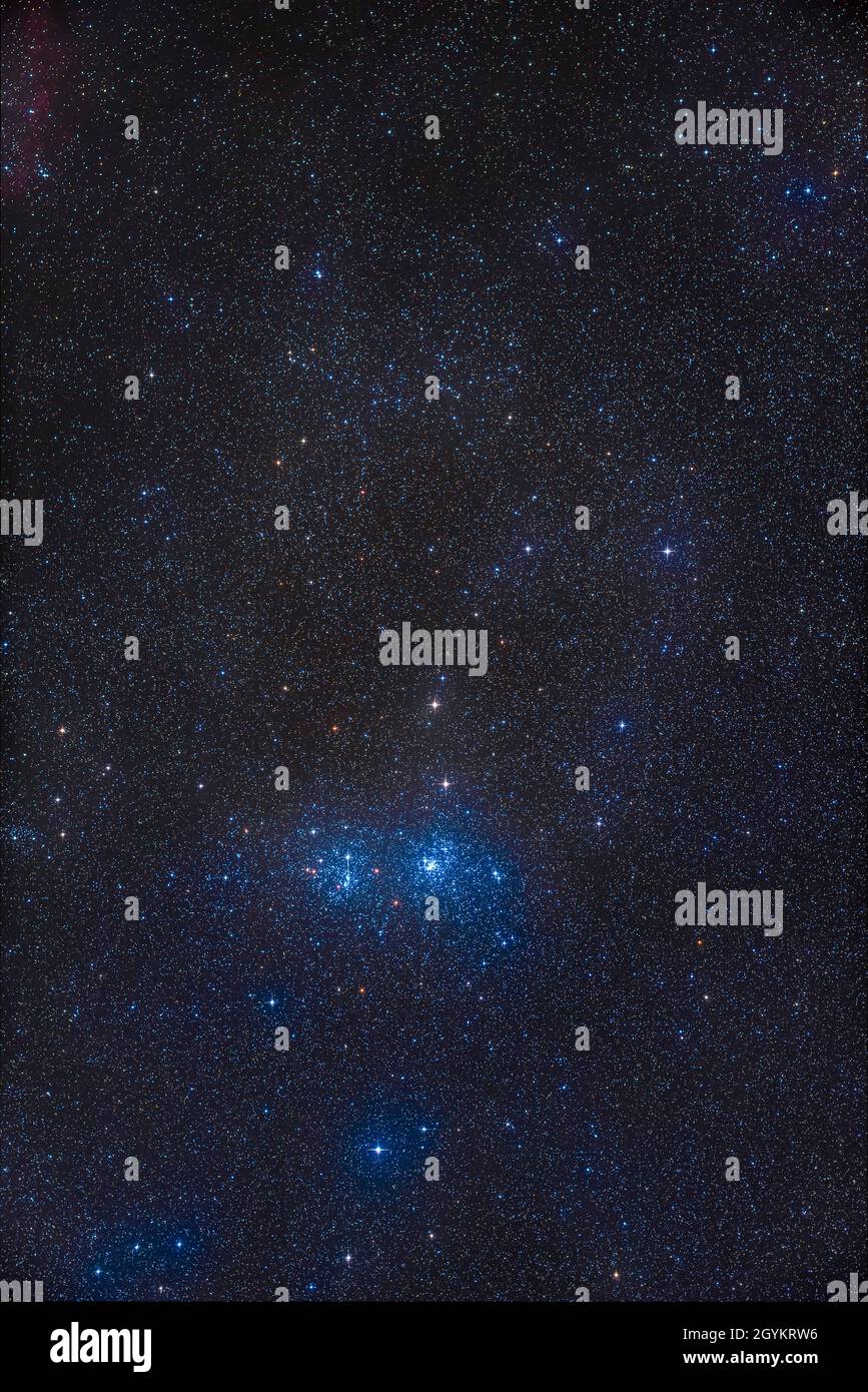 Muscle man cluster hi-res stock photography and images - Alamy