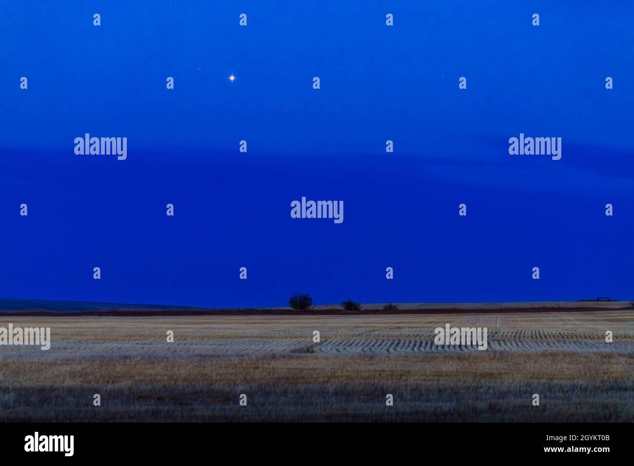 Mars rising over the harvested field at home on October 7, 2020, with ...