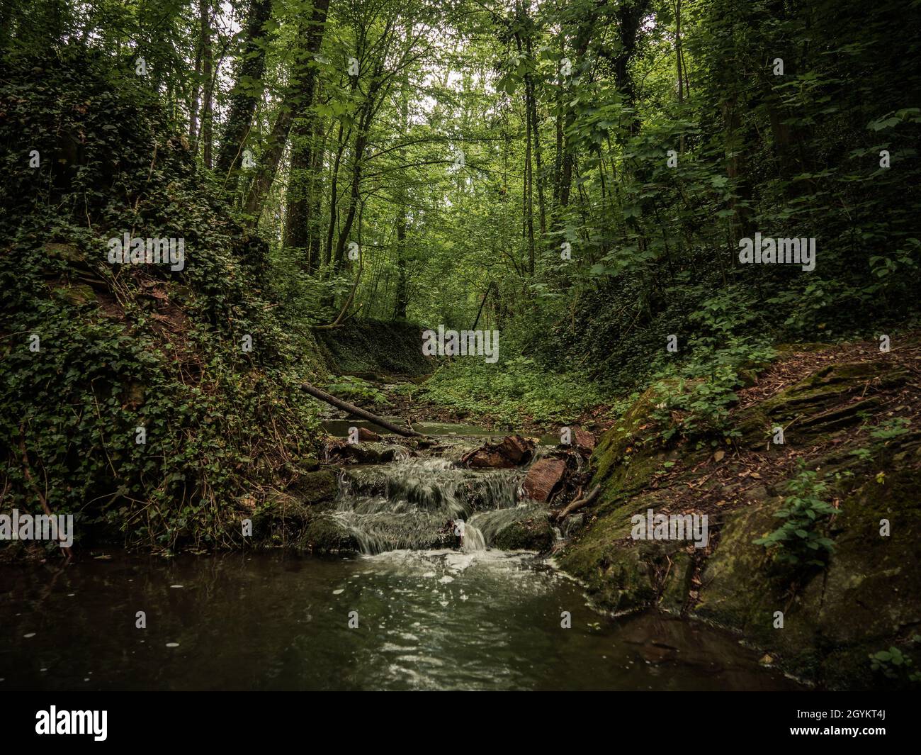 Slowly flowing clear water river hi-res stock photography and images ...