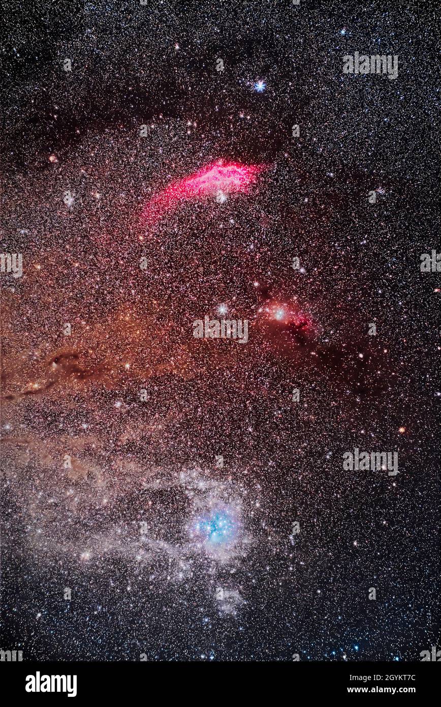 A wide-field image of the region of Perseus and Taurus from the pink ...