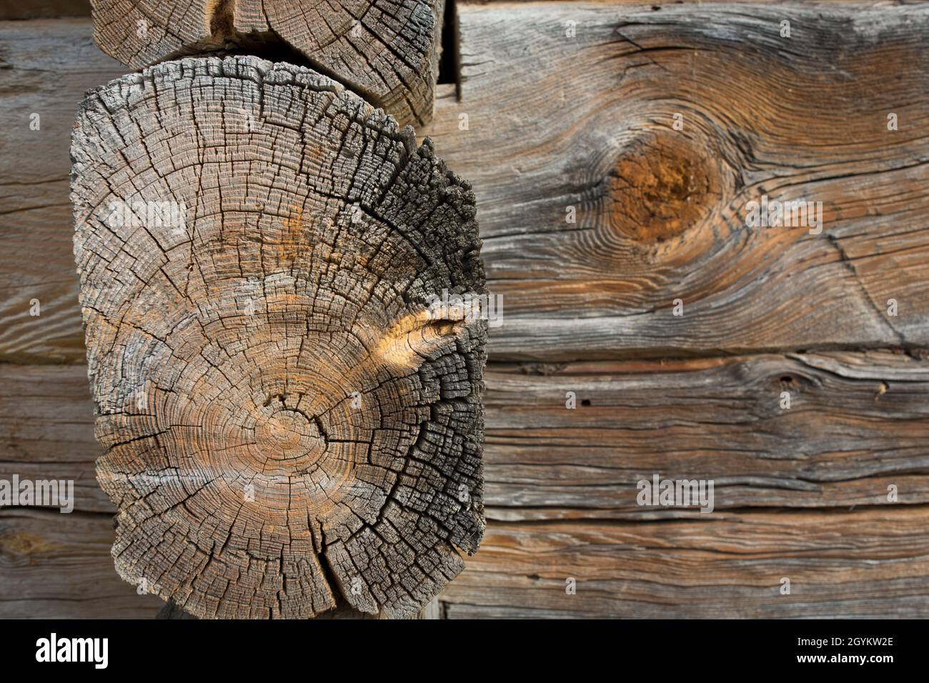 Wooden logs of an old house. Close-up. Weathered natural gray wood ...