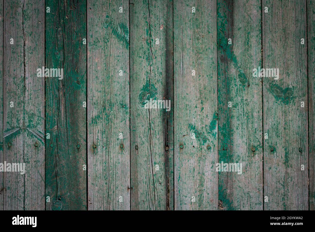 Wooden logs of an old house. Close-up. Weathered green wood texture ...
