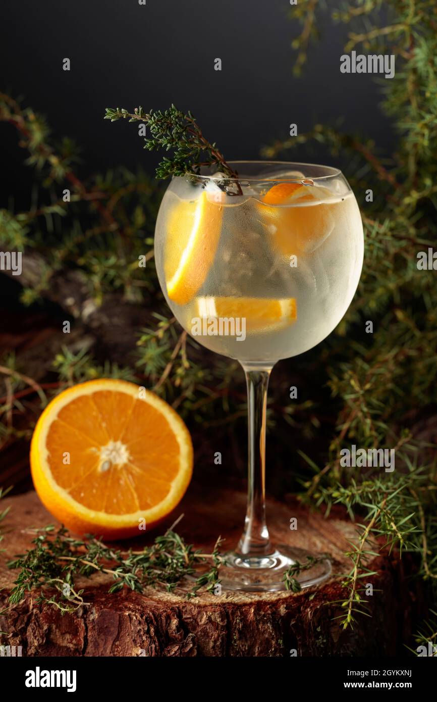 Gin and Tonic cocktail with orange and thyme. A cold iced refreshing ...