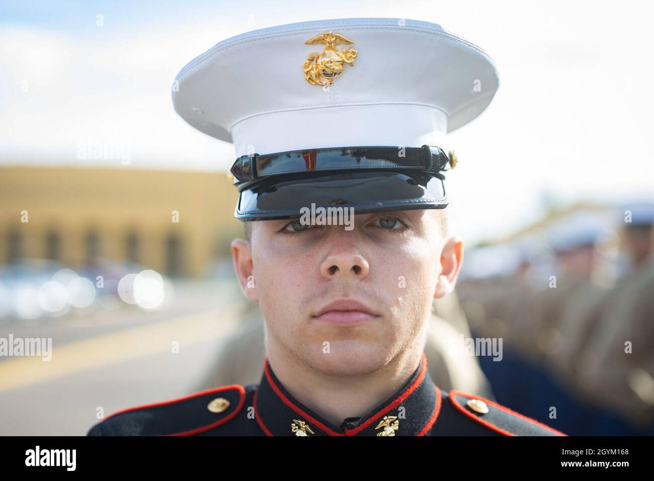 Rommel Pangan's Instagram, Twitter & Facebook on IDCrawl