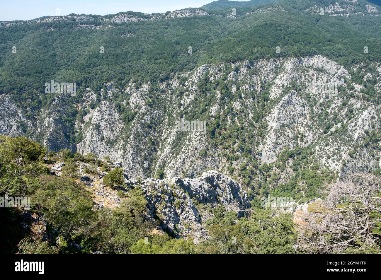 Ida Mountain-Kaz Daglari in Turkey. (in Turkish: Kazdagi, meaning Goose ...