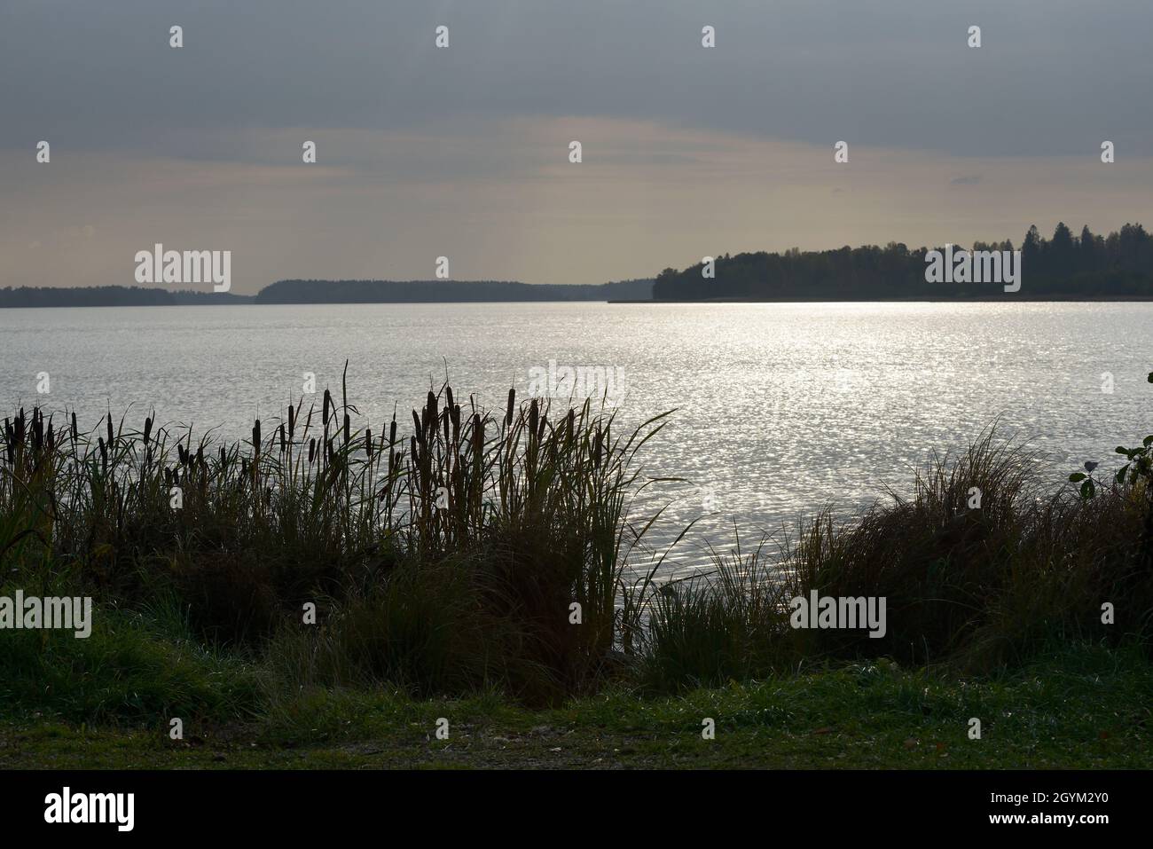 Tuusula hi-res stock photography and images - Alamy
