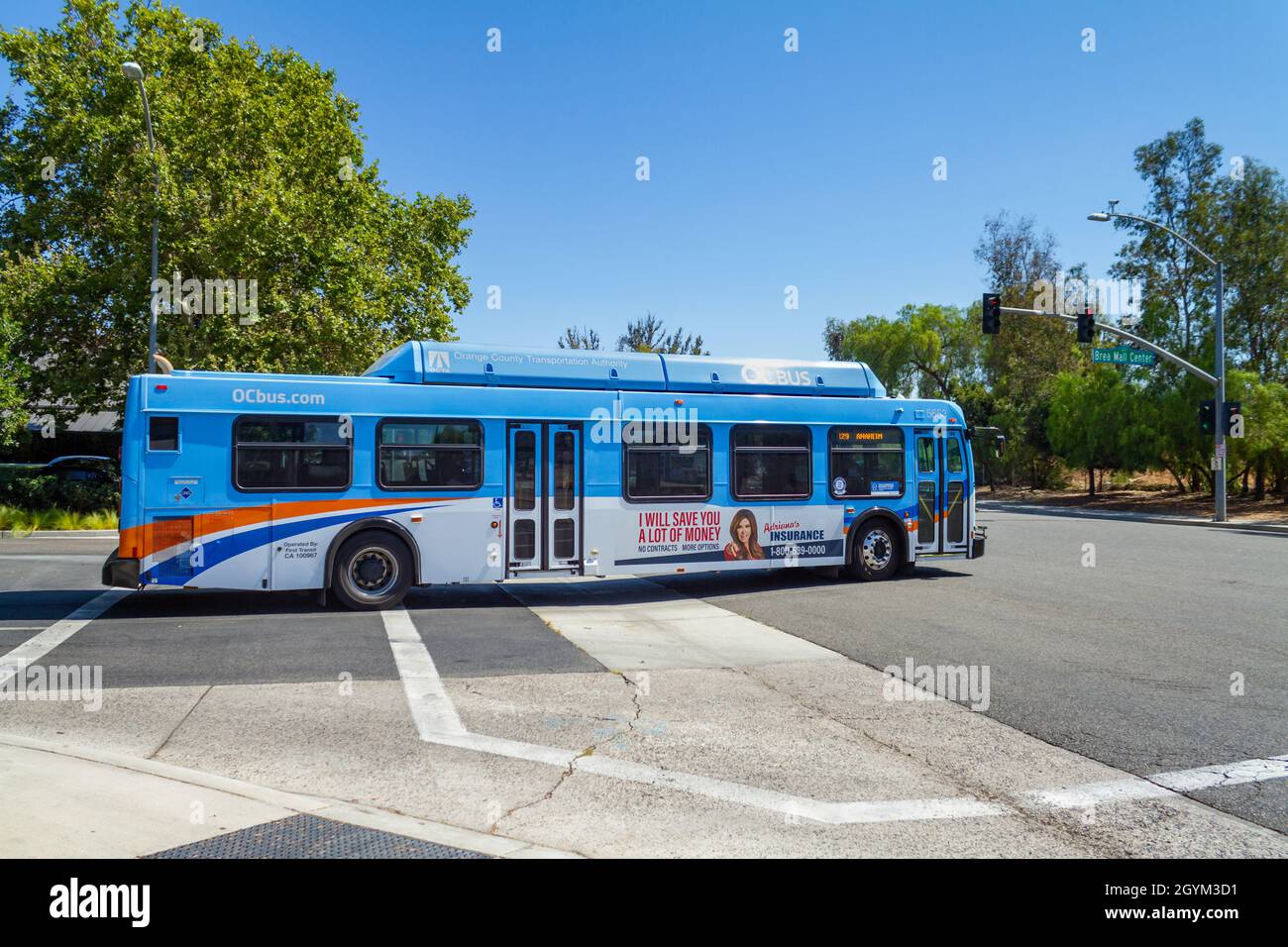 Octa Bus Brand New