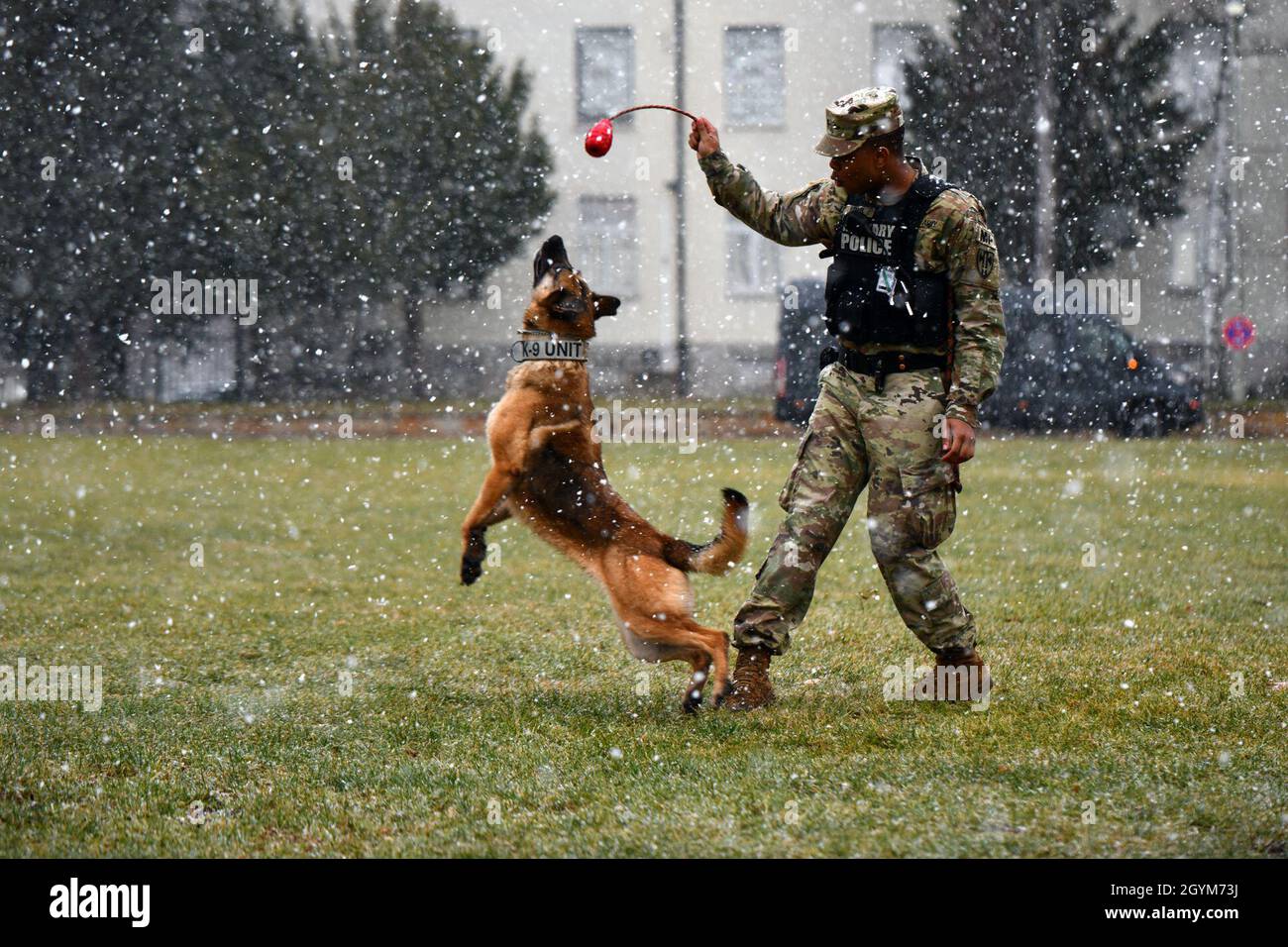 U.S. Army Spc. Jermaine Lewis and Astor, a Military Working Dog ...