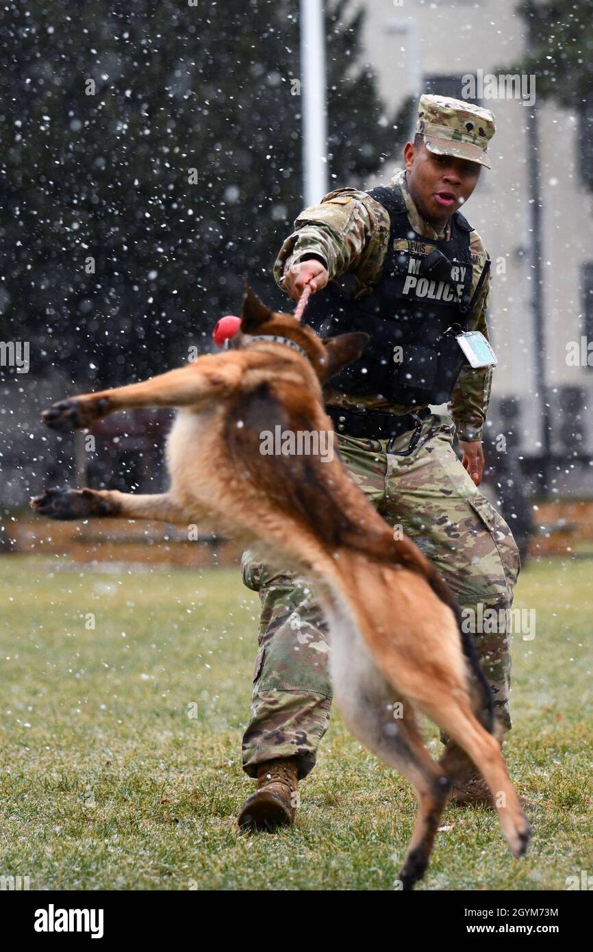U.S. Army Spc. Jermaine Lewis and Astor, a Military Working Dog ...