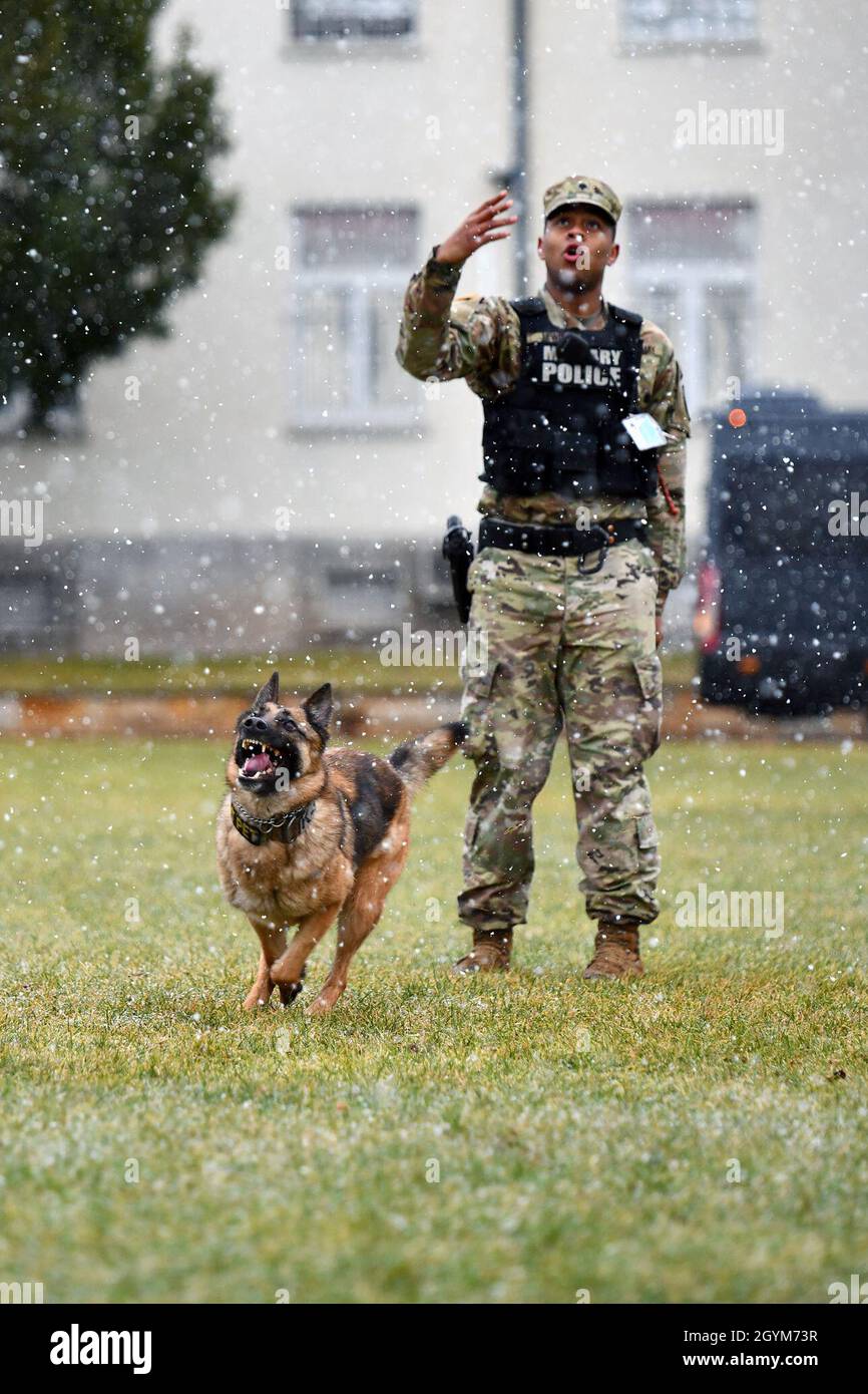U.S. Army Spc. Jermaine Lewis and Astor, a Military Working Dog ...