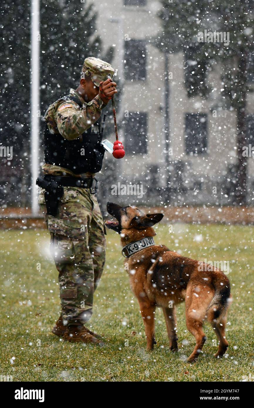 U.S. Army Spc. Jermaine Lewis and Astor, a Military Working Dog ...