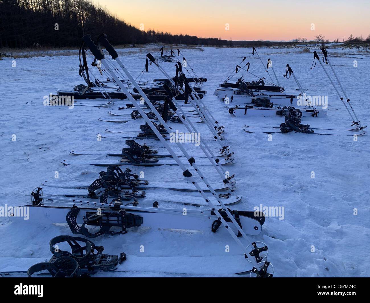 A formation of skis belonging to U.S. Marines from 2nd Battalion, 3rd ...