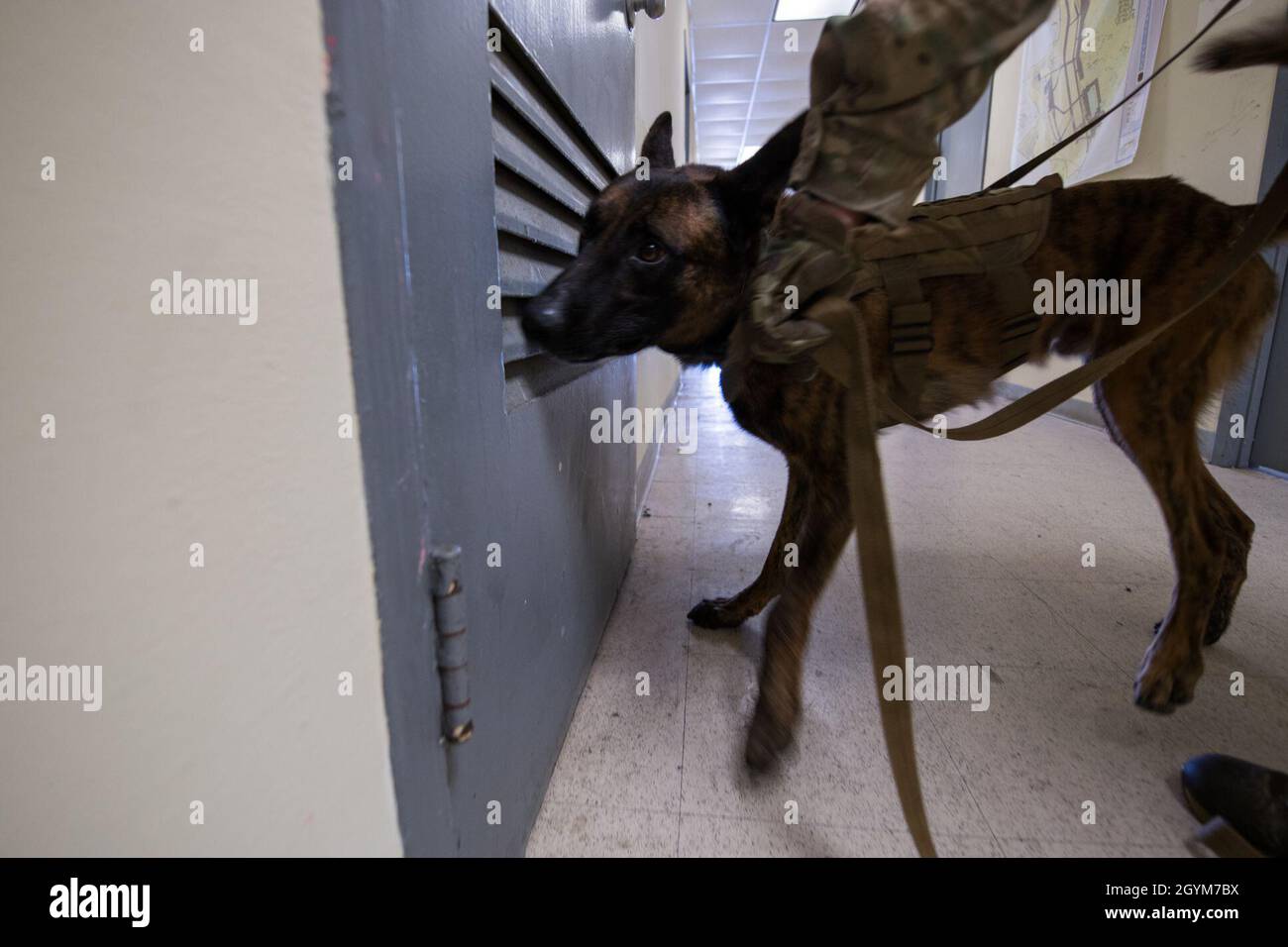 71st security forces squadron hi-res stock photography and images - Alamy