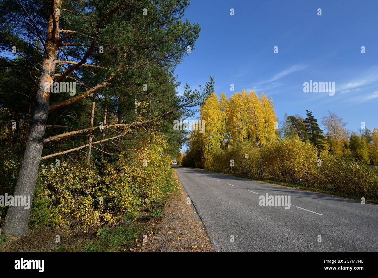 bus stop on a country road in Finland in autumn Stock Photo - Alamy