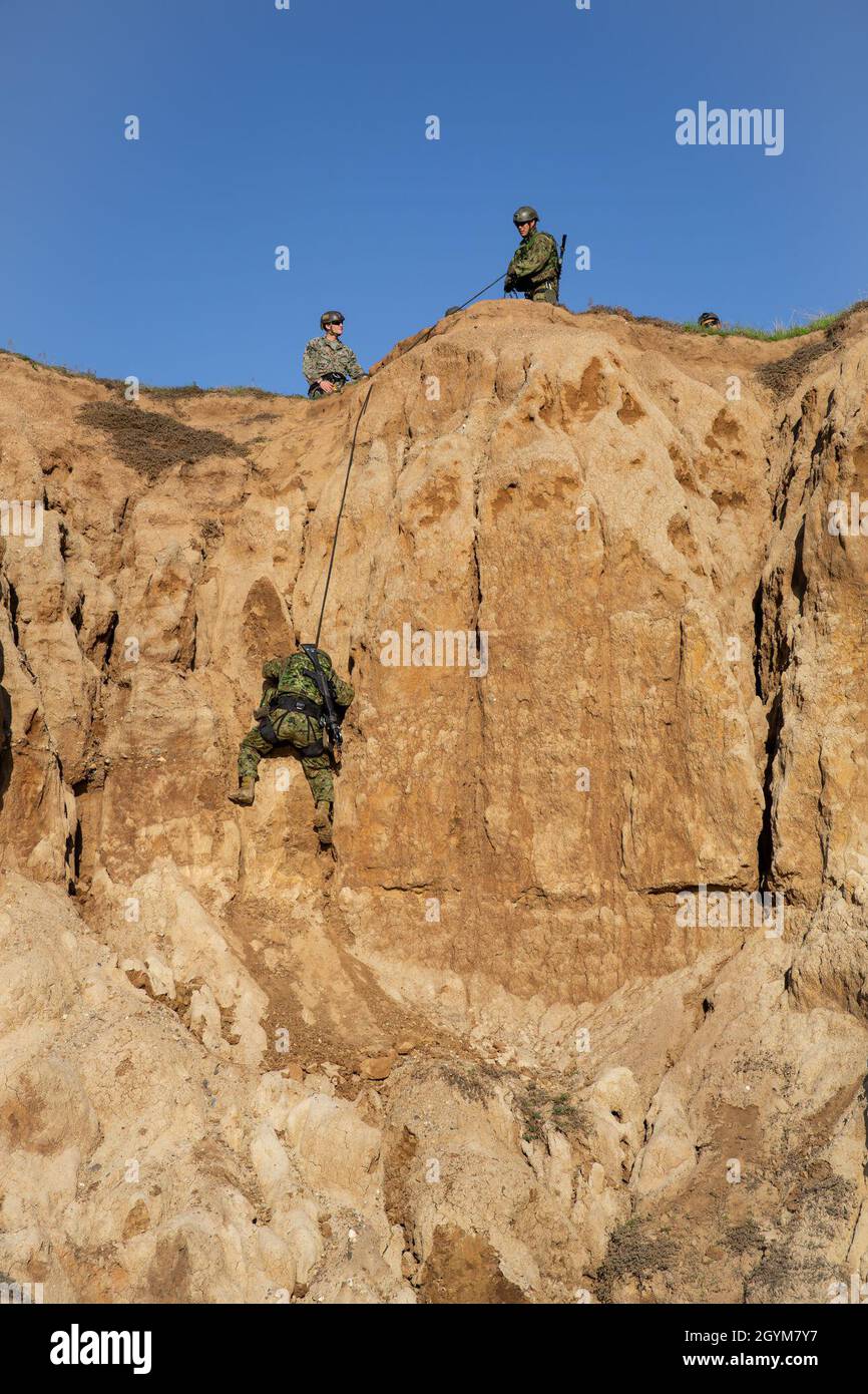 A Japan Ground Self-Defense soldier with Amphibious Rapid Deployment ...