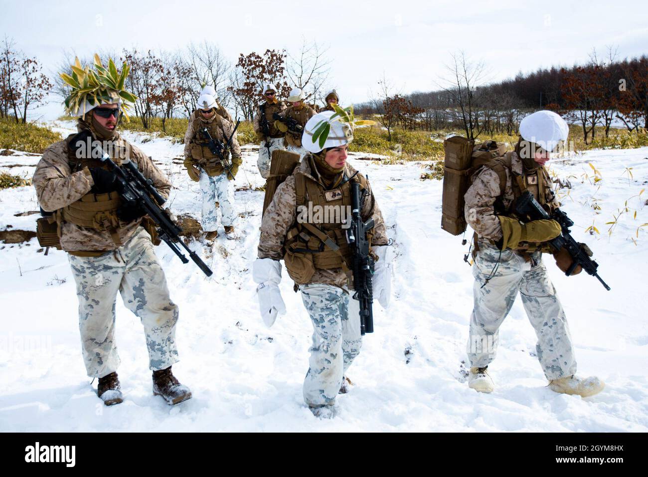 U.S. Marines with 1st Battalion, 25th Marine Regiment, conduct a patrol ...