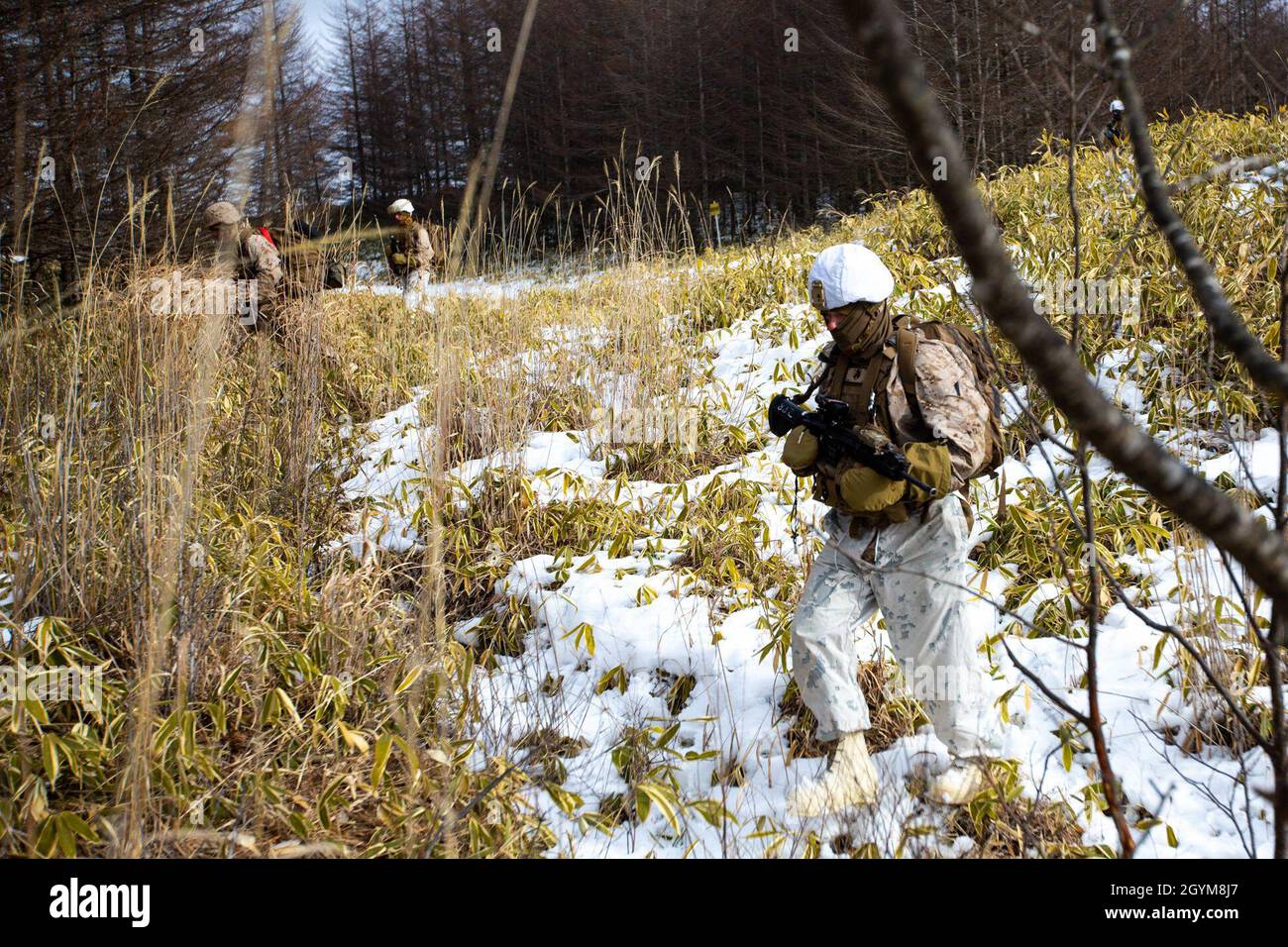 U.S. Marines with 1st Battalion, 25th Marine Regiment, conduct a patrol ...