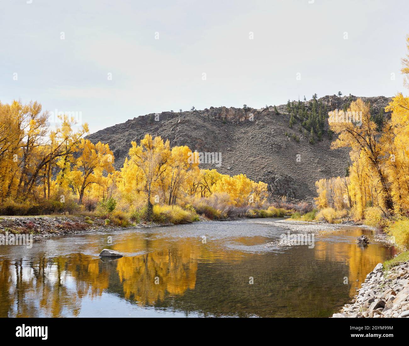 Gunnison River Colorado Autumn High Resolution Stock Photography and ...
