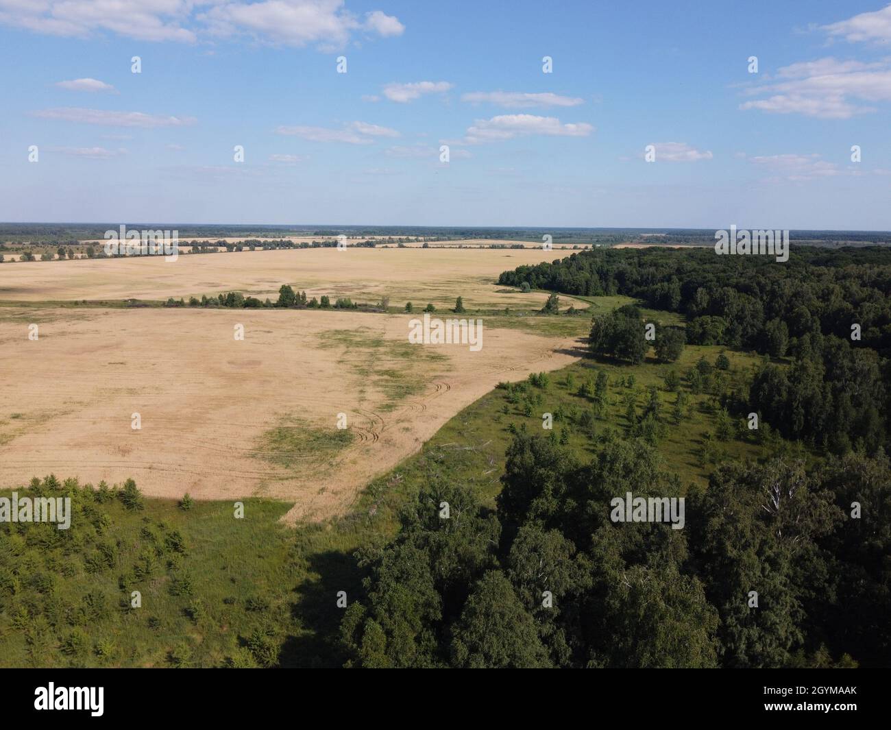 Green deciduous forest next to a farm field. Landscape from a bird's ...