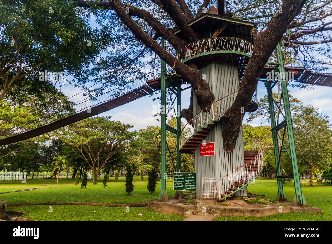 Tree tower and suspension bridges in People's Park in yangon, Myanmar ...