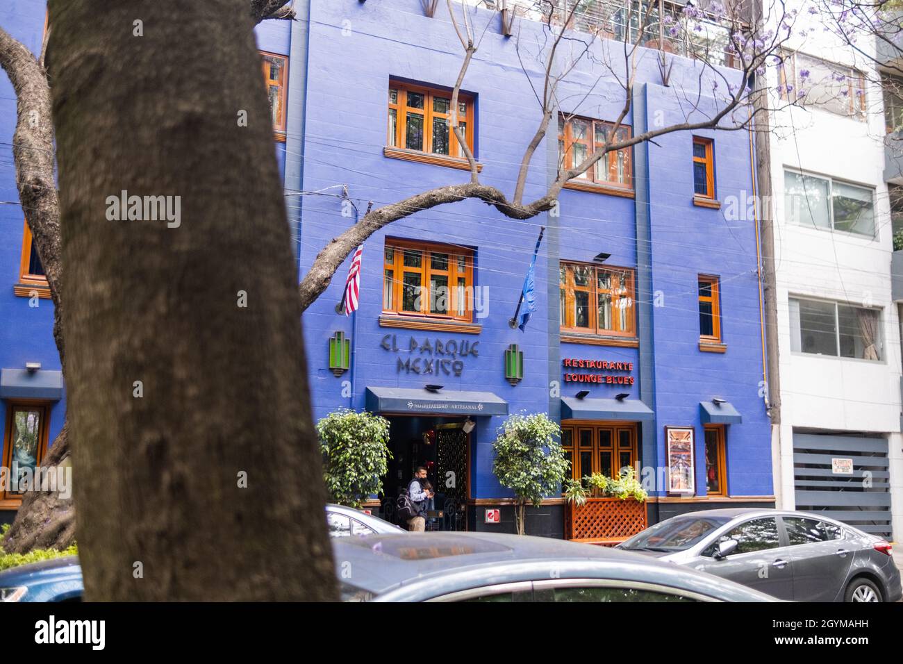 Front side of the famous Parque Mexico Hotel from behind a tree Stock ...