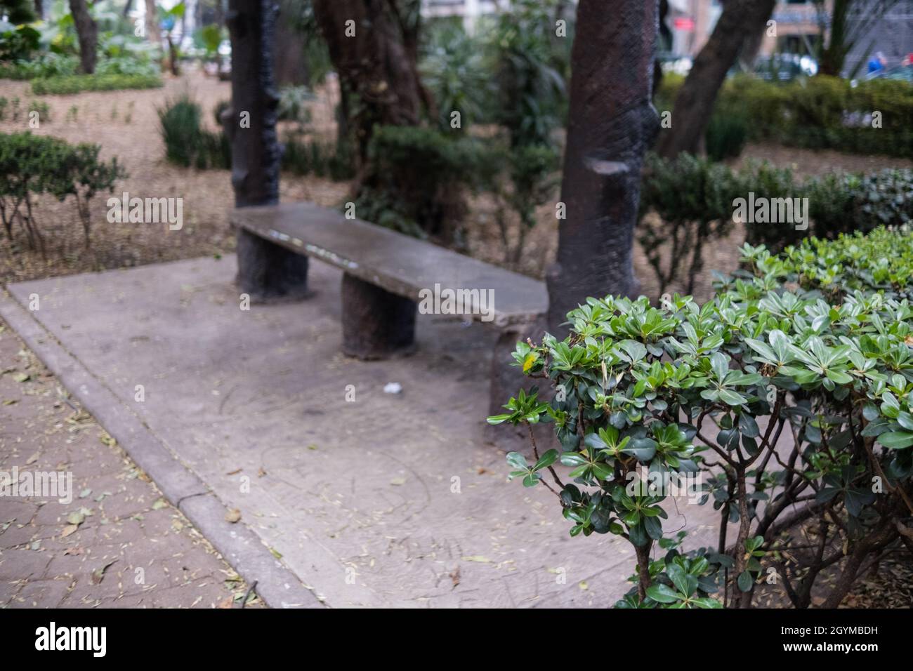 Rustic log bench surrounded by bushes in park from Mexico City Stock ...