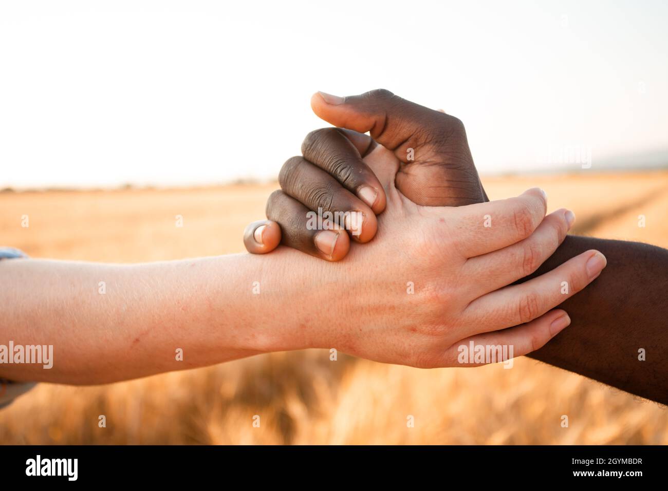 Multiracial relationship and friendsip concept. Two hands holding ...